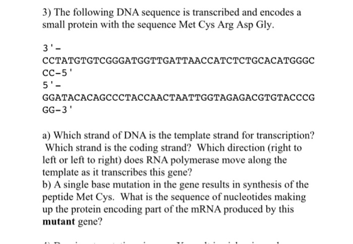 Solved 3) The following DNA sequence is transcribed and | Chegg.com