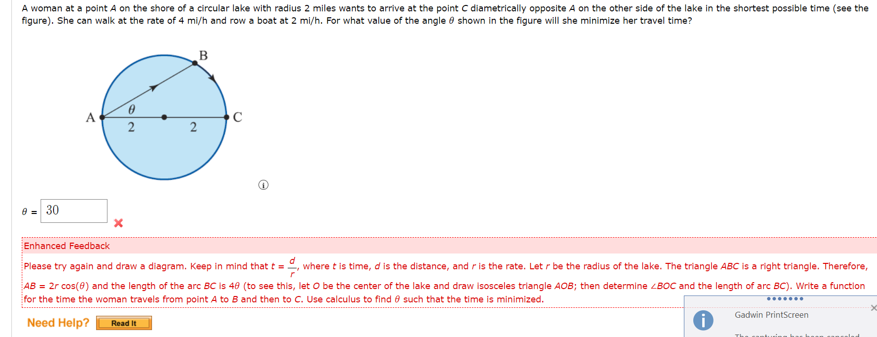 Solved A woman at a point A on the shore of a circular lake | Chegg.com