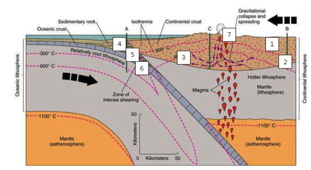 Solved Metamorphic Petrology – Worksheet 3 1) On the diagram | Chegg.com
