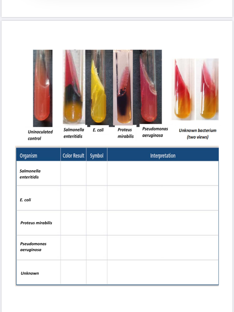 Solved 5) Answer the questions below referring to the SIM | Chegg.com