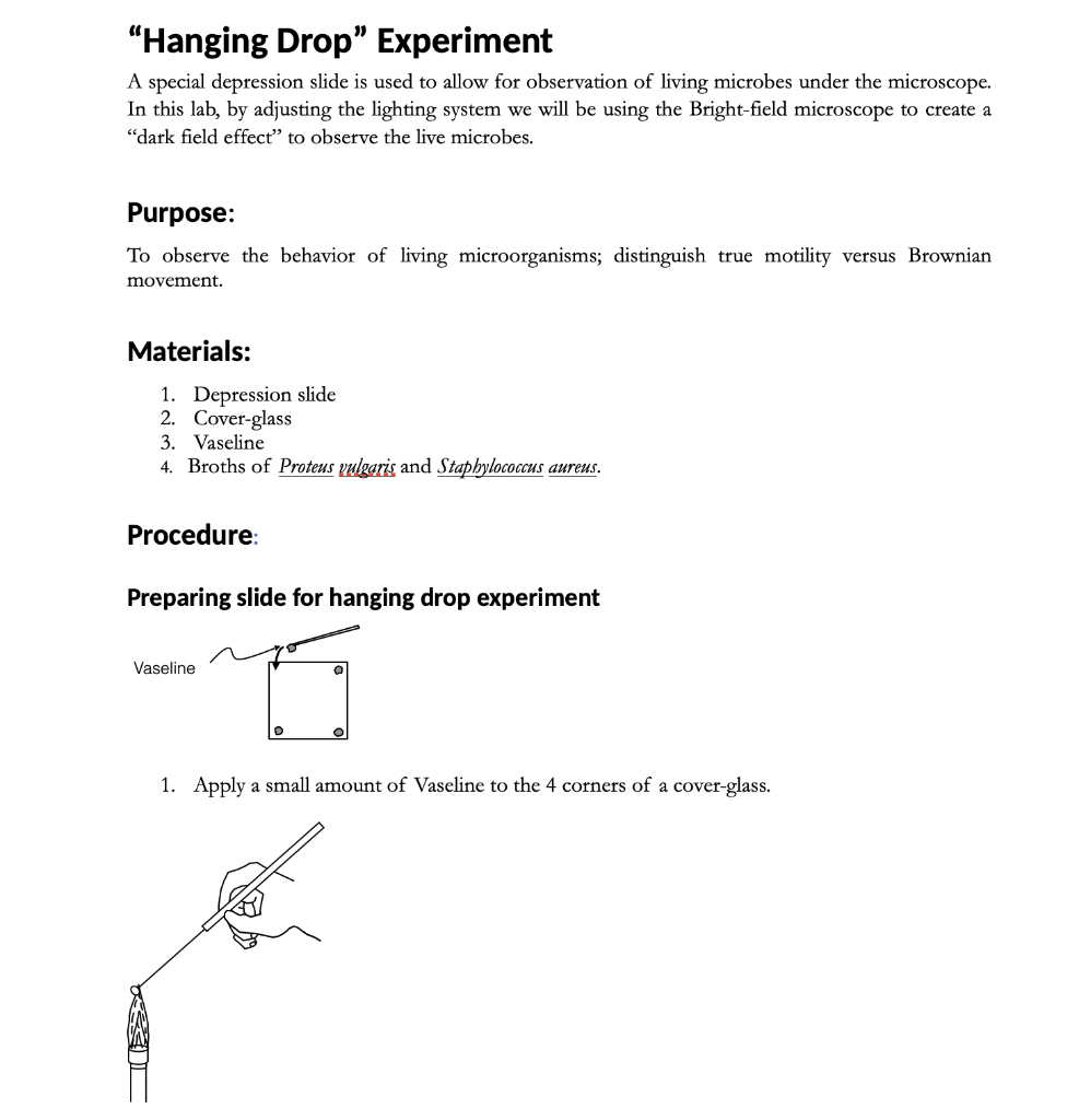 Solved "Hanging Drop” Experiment A special depression slide | Chegg.com