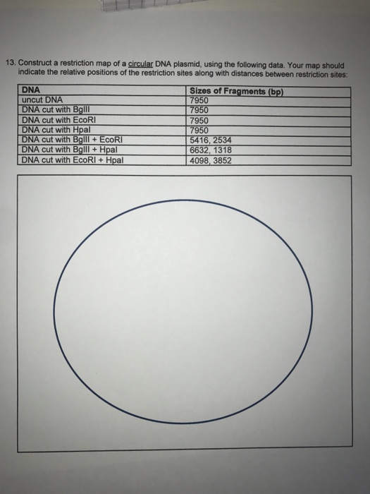 Solved Construct a restriction map of a circular DNA | Chegg.com
