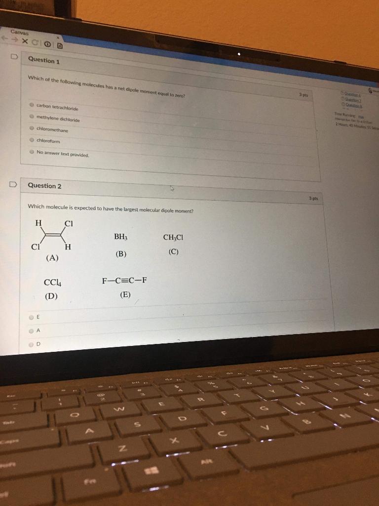 Solved Canvas --> XC D Question 1 Which of the following | Chegg.com