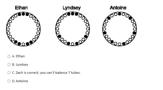 Solved Ethan, Lyndsey, Antoine and Zach are having an | Chegg.com