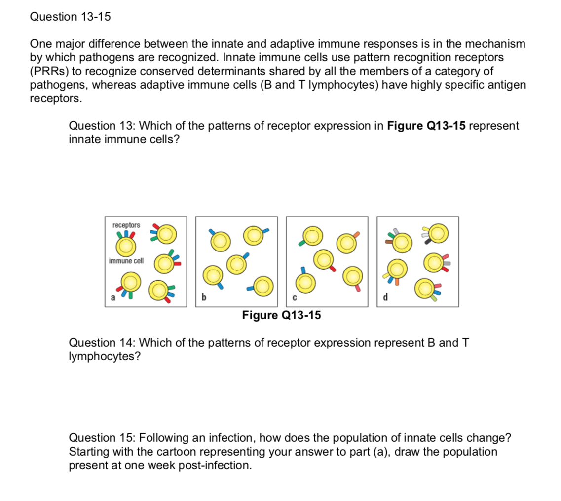 Innate Vs Adaptive Immunity Cartoon
