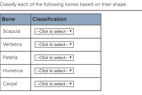 Solved Classify each of the following bones based on their | Chegg.com