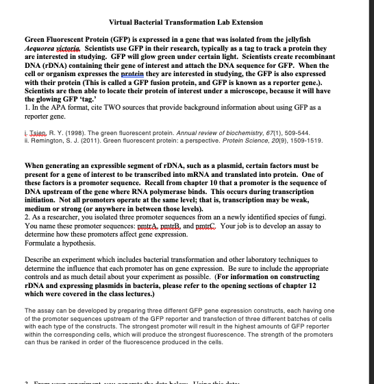 Solved Virtual Bacterial Transformation Lab Extension Green | Chegg.com