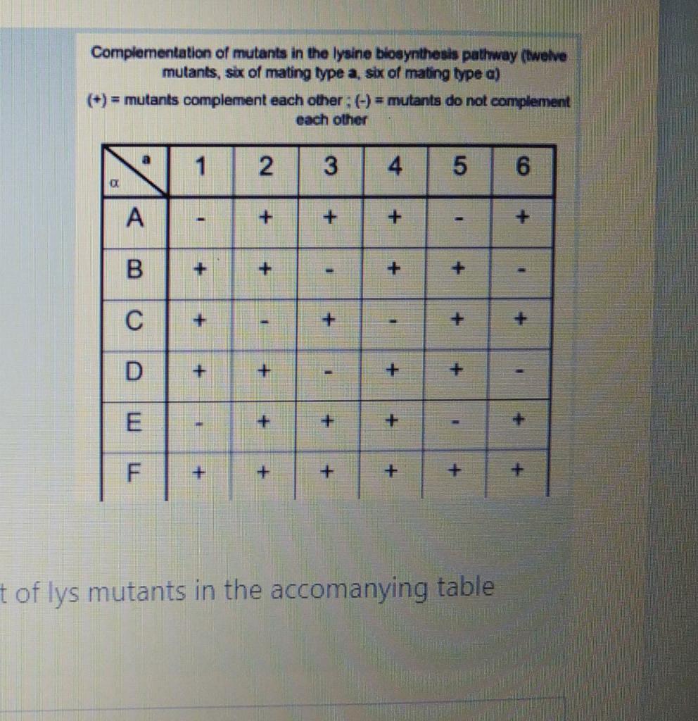 Solved Complementation of mutants in the lysine biosynthesis | Chegg.com