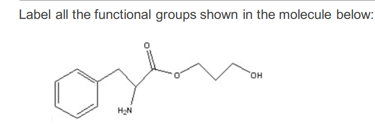 Solved Label all the functional groups shown in the molecule | Chegg.com