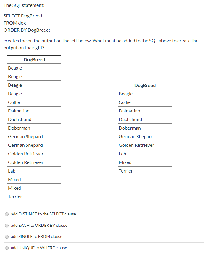 Solved The SQL statement: SELECT Dog Breed FROM dog ORDER BY | Chegg.com