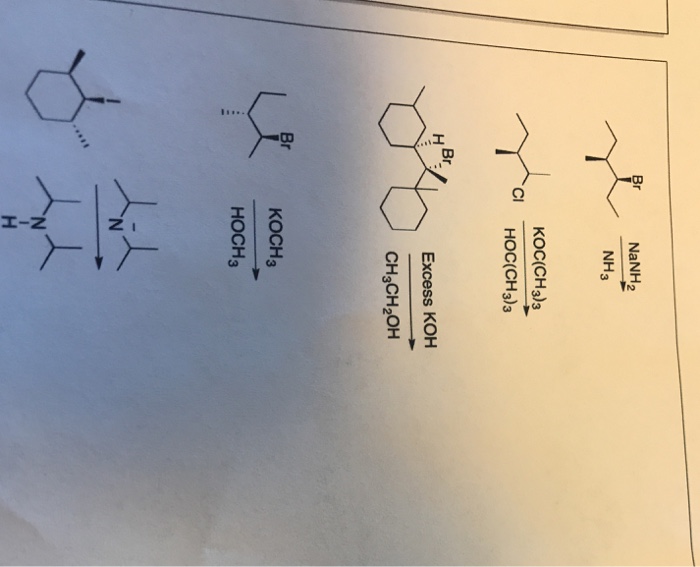 Solved NaNH2 NH3 Br I KOC(CH3)3 CI HOC(CH3)3 Br Excess KOH | Chegg.com