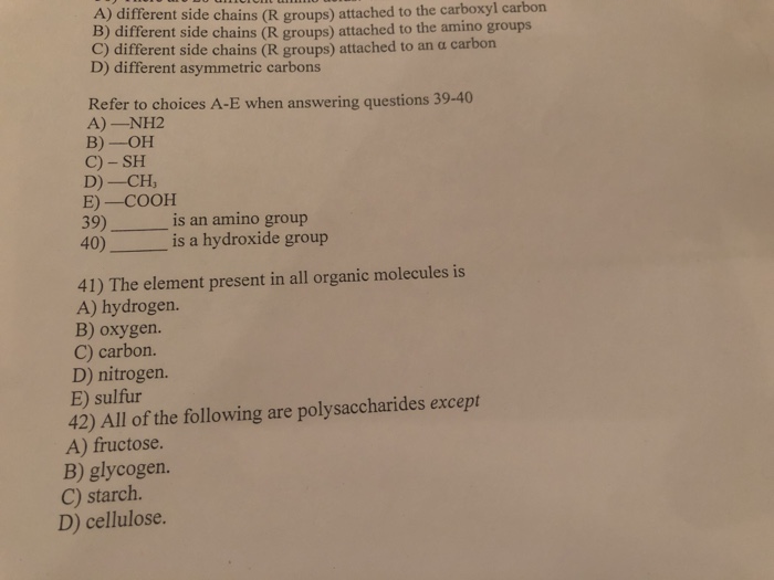 Solved A) different side chains (R groups) attached to the | Chegg.com