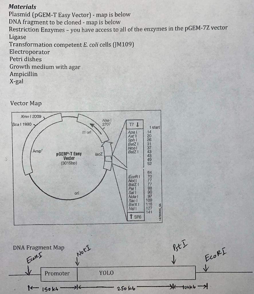 Solved Give the method for cloning the following fragment of | Chegg.com