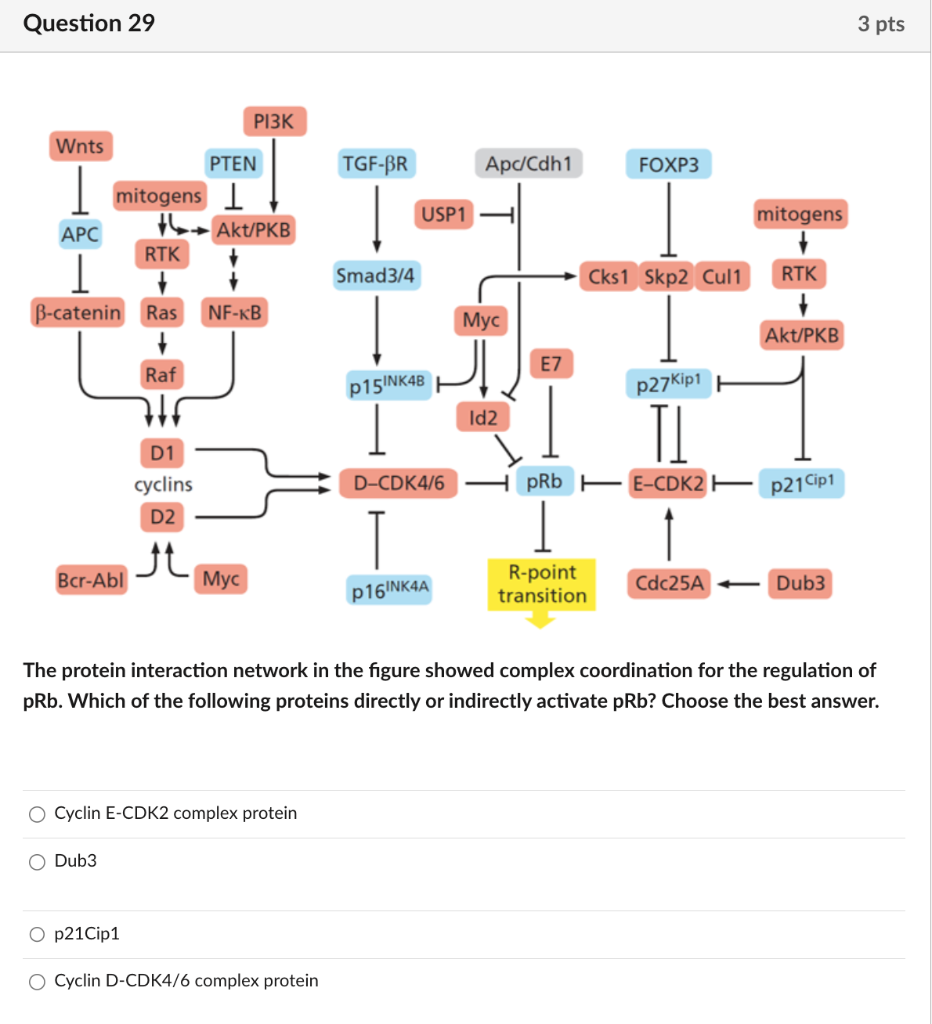 The protein interaction network in the figure showed | Chegg.com