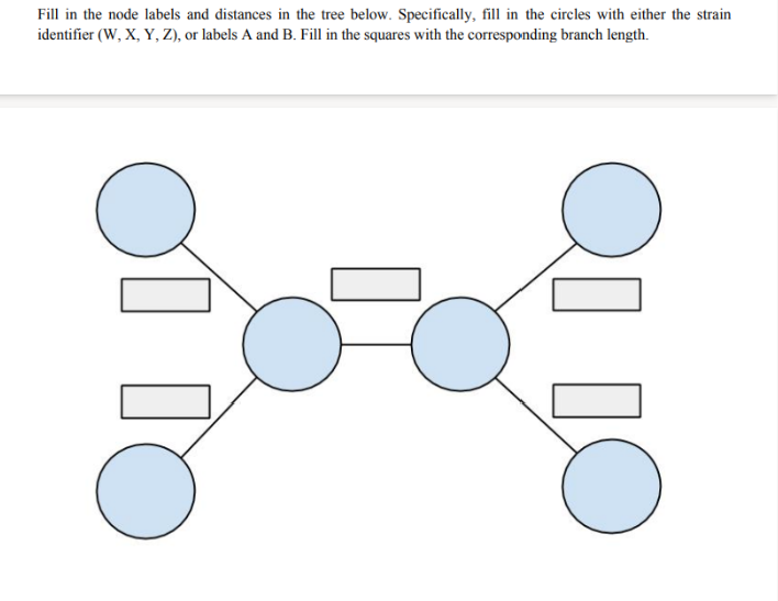 Solved Objective 2: Applying the Neighbor-Joining Algorithm | Chegg.com