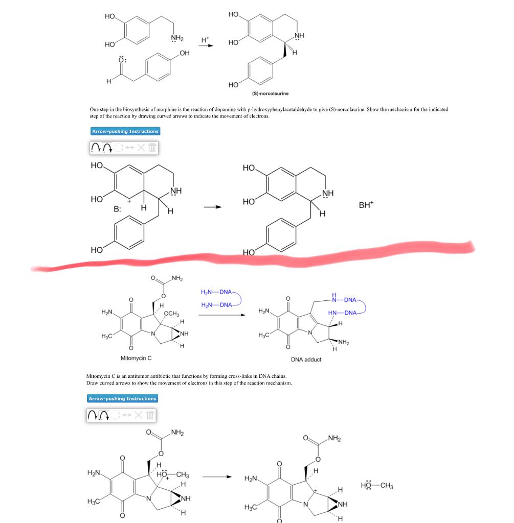 Solved НО. НО. NH2 H* NH HO HO OH Ö: HO (S)-norcolaurine One | Chegg.com