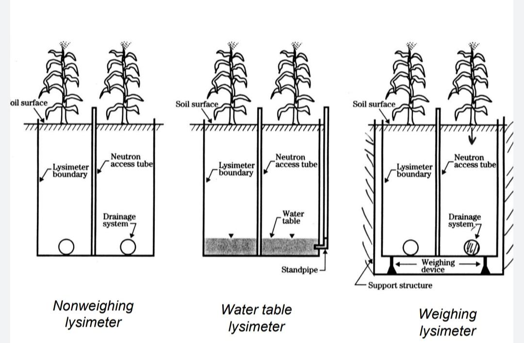 Solved Tnx for the answers Differentiate the three lysimeter | Chegg.com