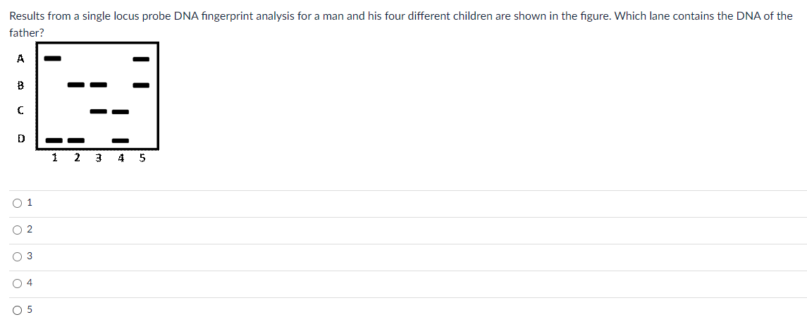 Solved Results from a single locus probe DNA fingerprint | Chegg.com