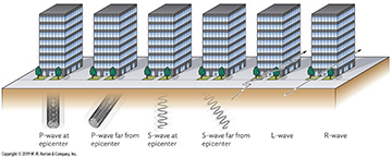 Solved When P- and S-waves reach the surface, the | Chegg.com