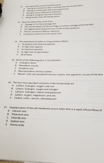 Solved male pelvis can minent bony markings than the female | Chegg.com