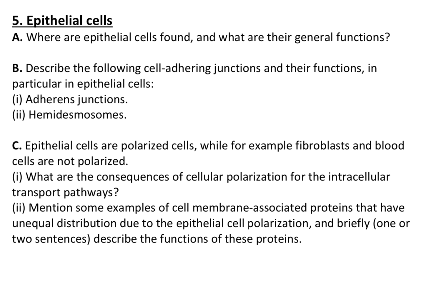 Solved Epithelial cellsA. ﻿Where are epithelial cells found, | Chegg.com