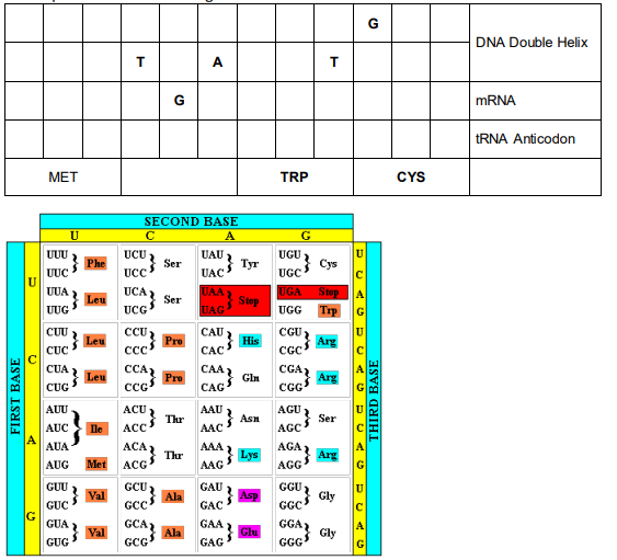 Solved Please explain how to fill out the following table | Chegg.com