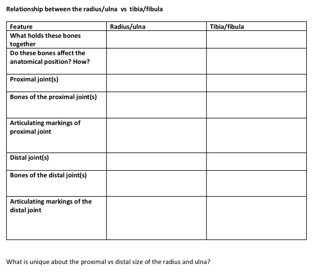 Solved Relationship between the radius/ulna vs tibia/fibula | Chegg.com Solved Relationship between the radius/ulna vs tibia/fibula | Chegg.com