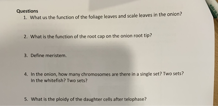 Solved Questions 1 What Us The Function Of The Foliage Chegg solved-questions-1-what-us-the-function-of-the-foliage-chegg
