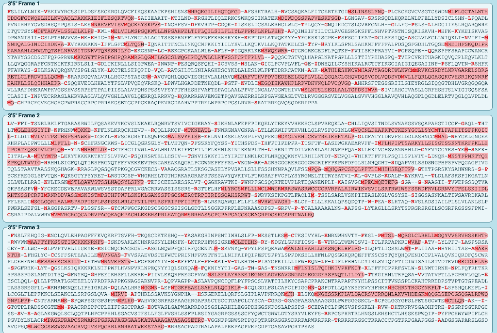 Solved There are 6 Translate results; the first three are | Chegg.com