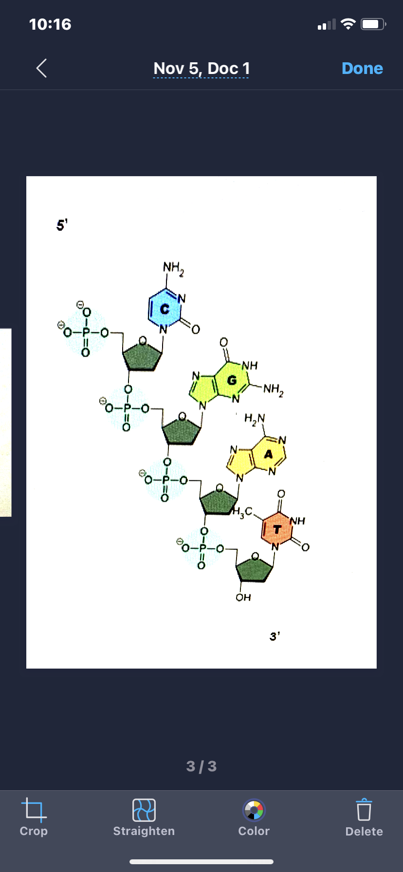 Solved Deoxyribose sugar Deoxyribose is a 5-carbon sugar | Chegg.com