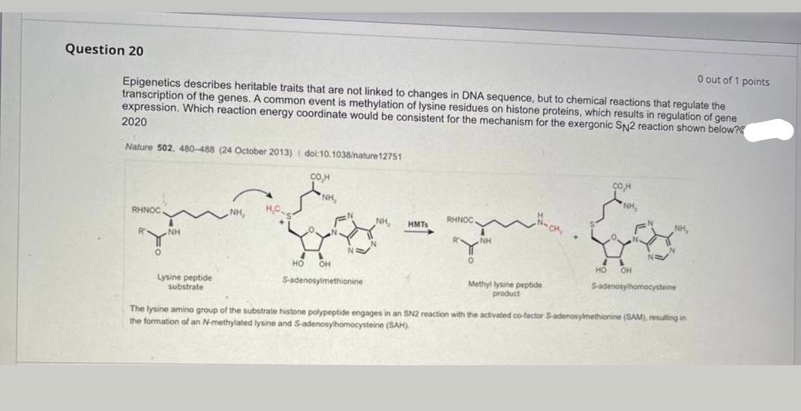 Question 20 O out of 1 points Epigenetics describes | Chegg.com