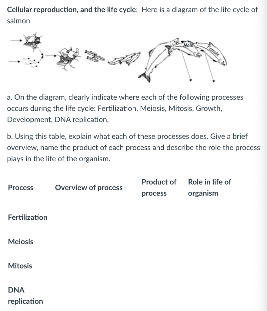 Solved Cellular reproduction, and the life cycle: Here is a | Chegg.com