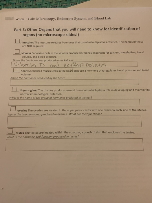 Solved Week 1 Lab: Microscopy, Endocrine System, and Blood | Chegg.com