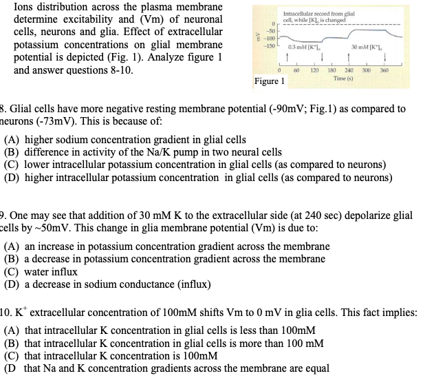Solved Ions distribution across the plasma membrane | Chegg.com