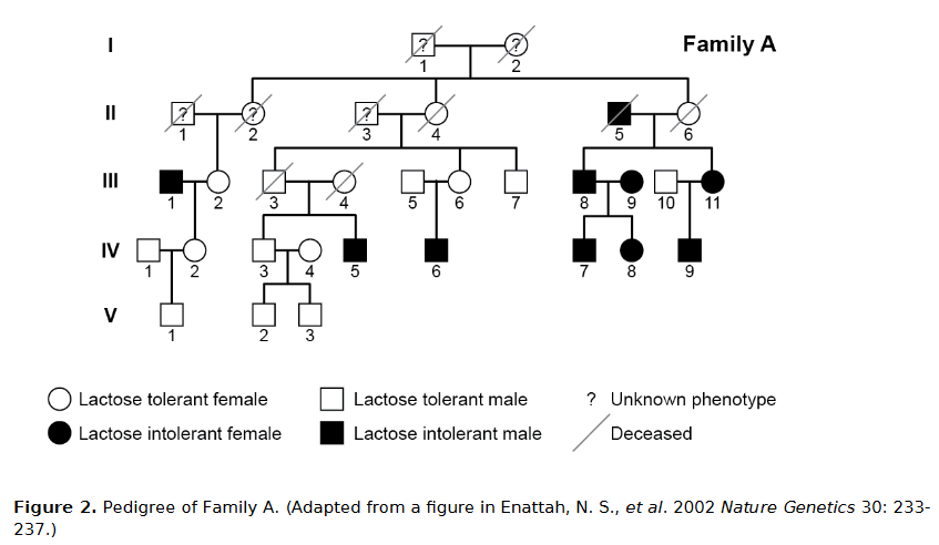 Tables 1 and 2 show DNA sequences from two short | Chegg.com