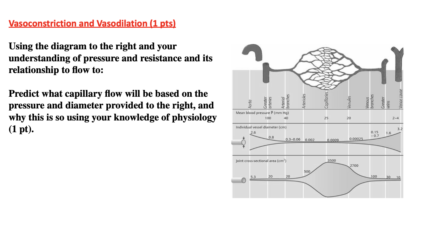 Solved Vasoconstriction and Vasodilation (1 pts) Using the | Chegg.com