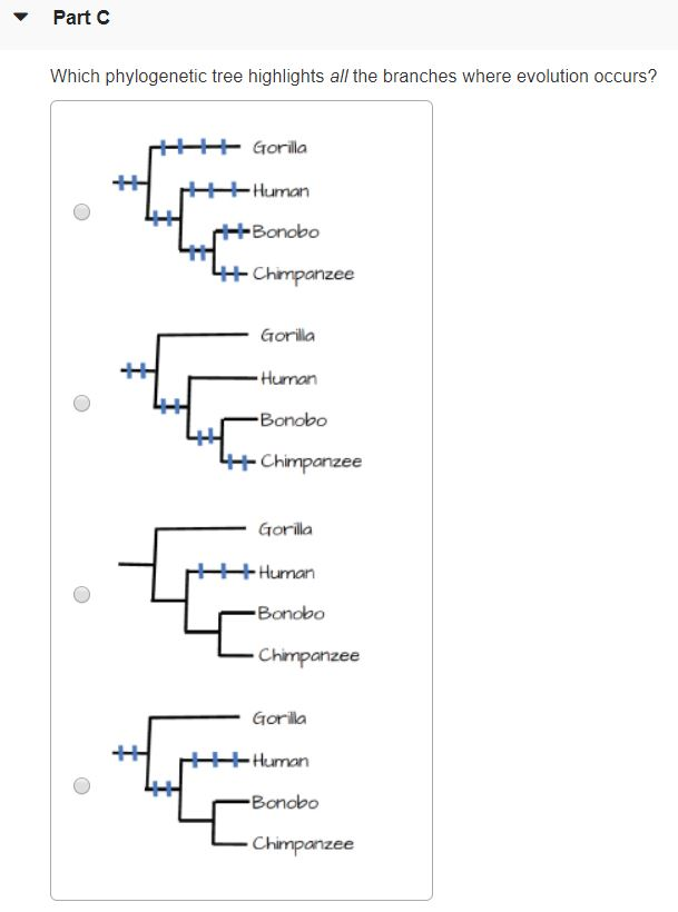 Solved: Part A Which Phylogenetic Tree Highlights The Most... | Chegg.com