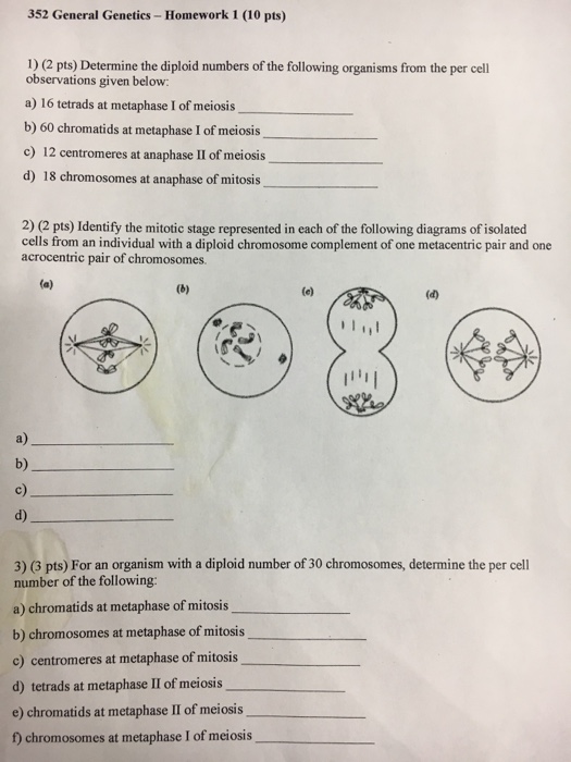 Solved Determine the diploid numbers of the following | Chegg.com