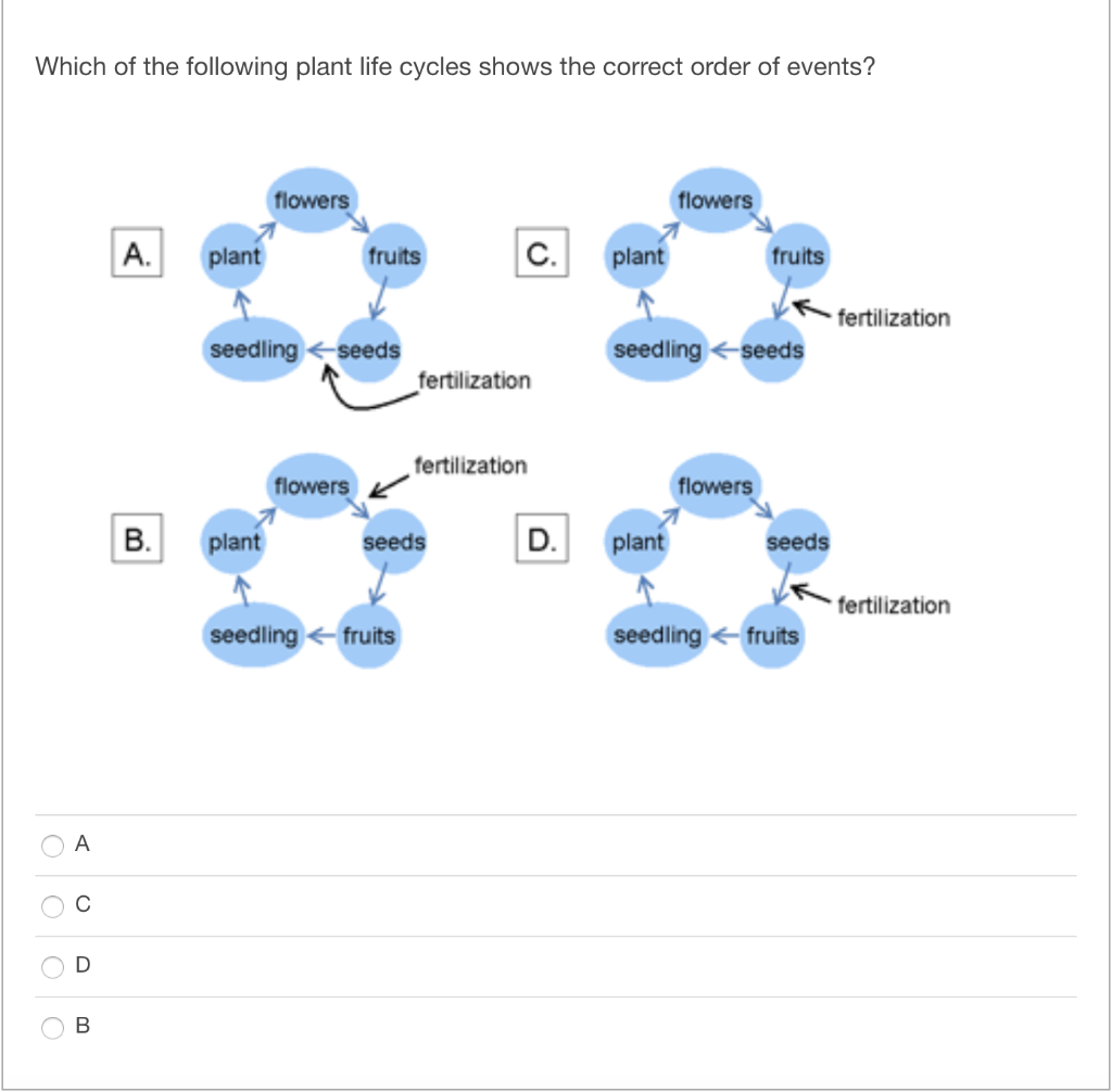 Solved Which of the following plant life cycles shows the | Chegg.com