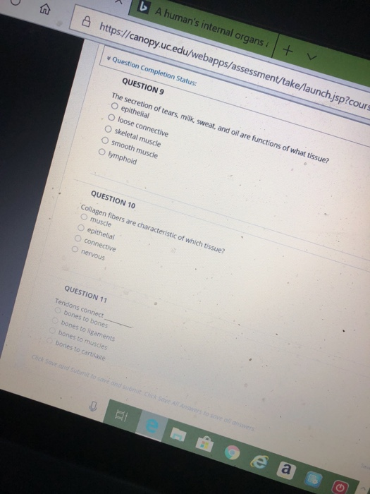 Solved A human's internal organs | + 、/ | Chegg.com