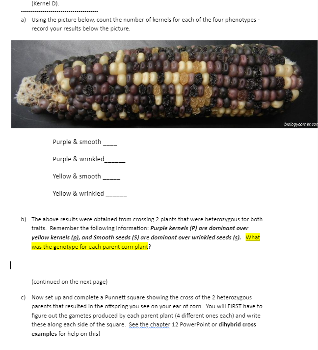 Solved 3. (3pts) Dihybrid Cross. You will now look at 2 | Chegg.com