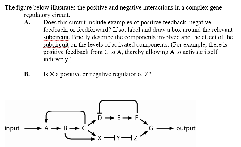 Solved The figure below illustrates the positive and | Chegg.com