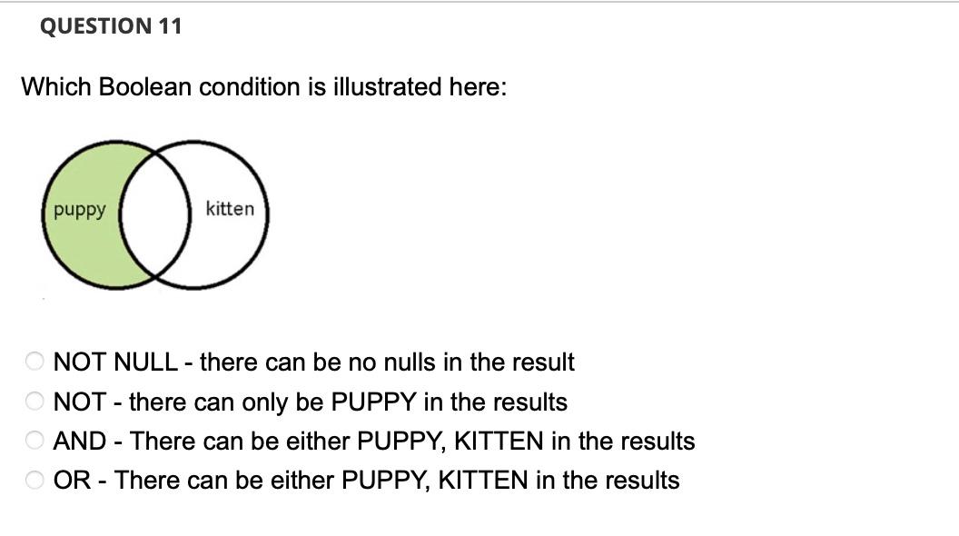 Solved SQL , use the w3schools site and editor to help you | Chegg.com