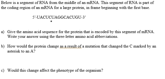Solved Below is a segment of RNA from the middle of an mRNA. | Chegg.com