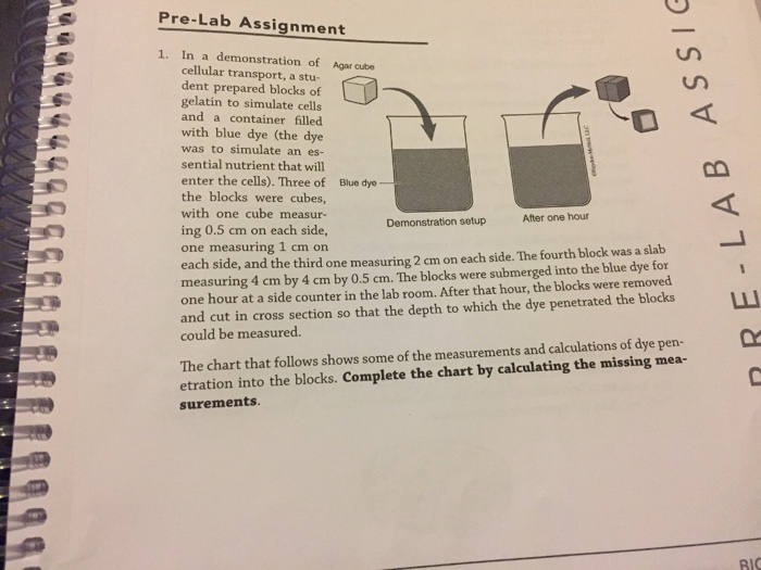 Pre-Lab Assignment 1. In a demonstration of Agar cube | Chegg.com