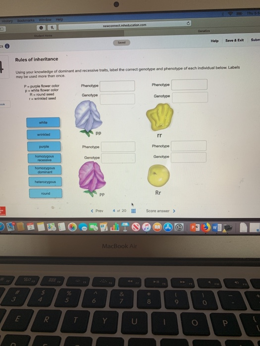 Solved t Help Save &ExitSubm Rules of inheritance genotype | Chegg.com