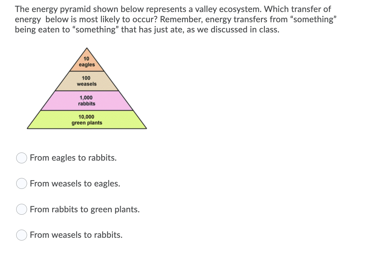 Solved The energy pyramid shown below represents a valley | Chegg.com