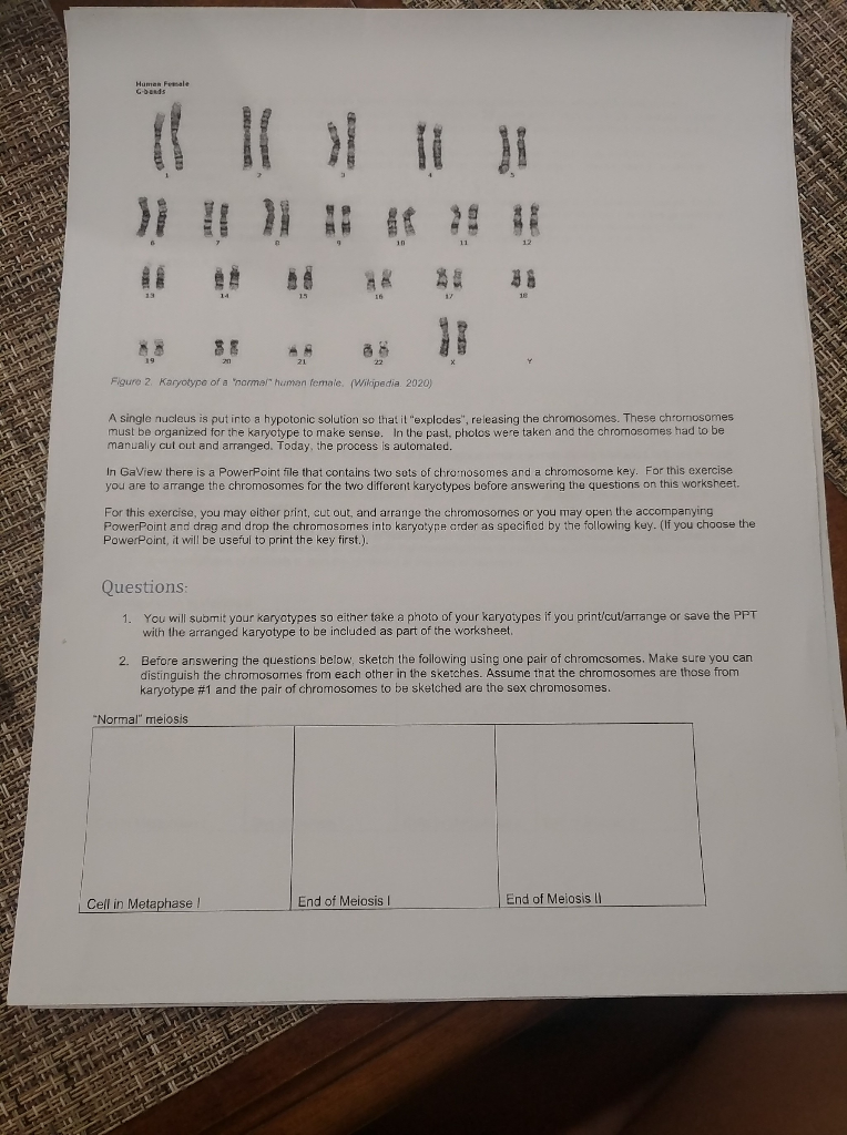 Solved Design Transitions Animations Slide Show Review View | Chegg.com