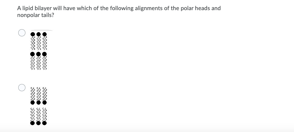Solved A lipid bilayer will have which of the following | Chegg.com