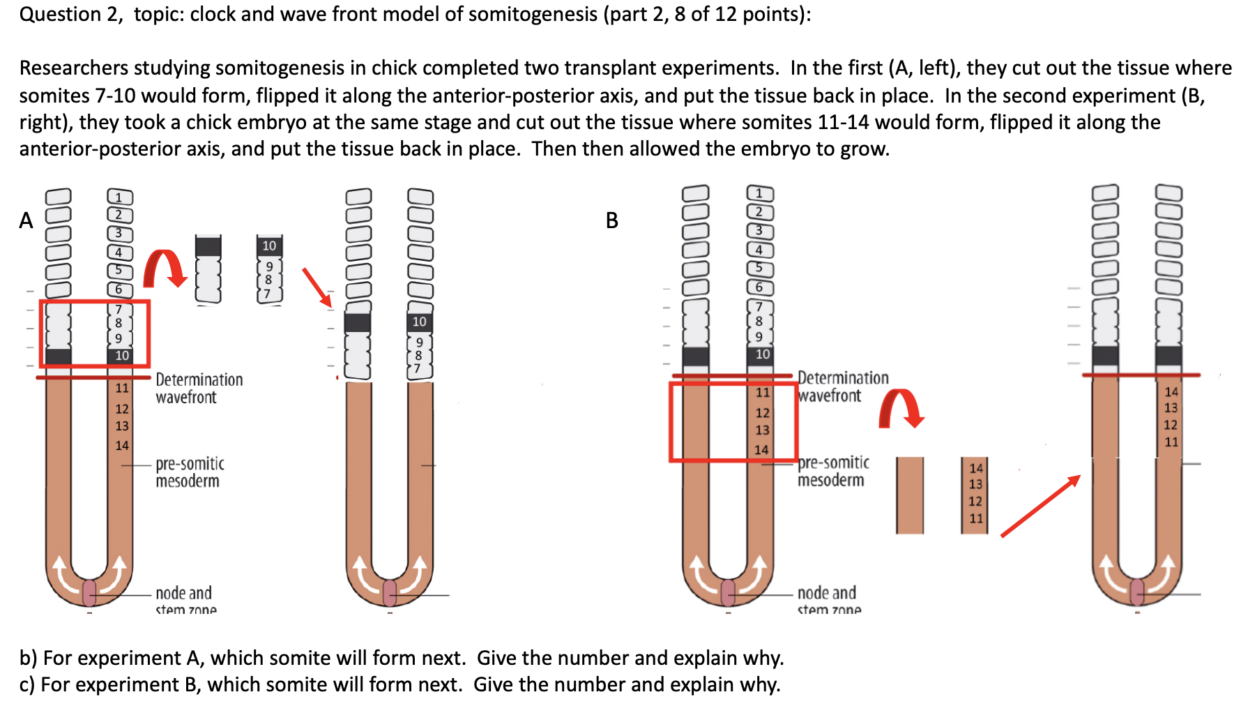 Question 2, topic: clock and wave front model of | Chegg.com